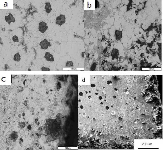 Microstructure Change of High Silicon Molybdenum Ductile Iron at High ...