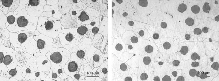 Special shaped graphite in the center of Heavy Section Ductile Iron and ...