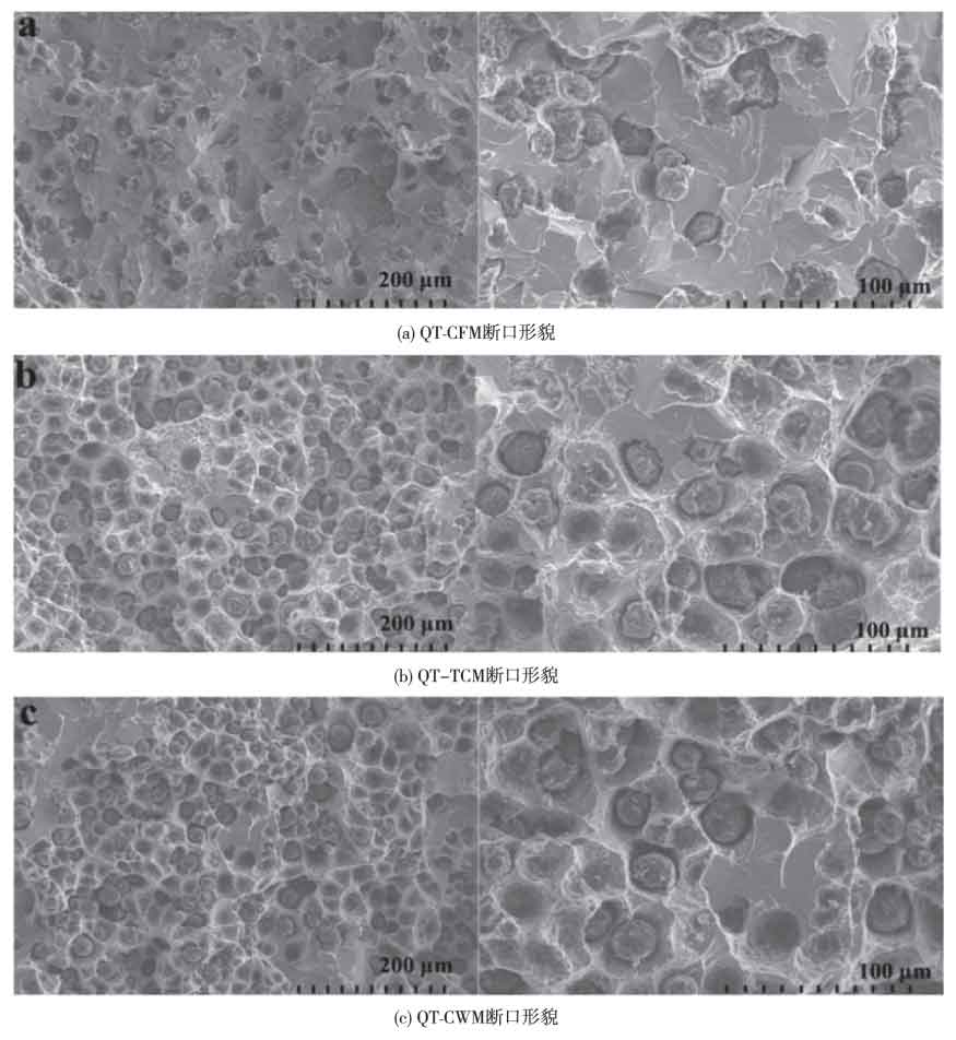Analysis of graphite morphology and distribution and mechanical ...